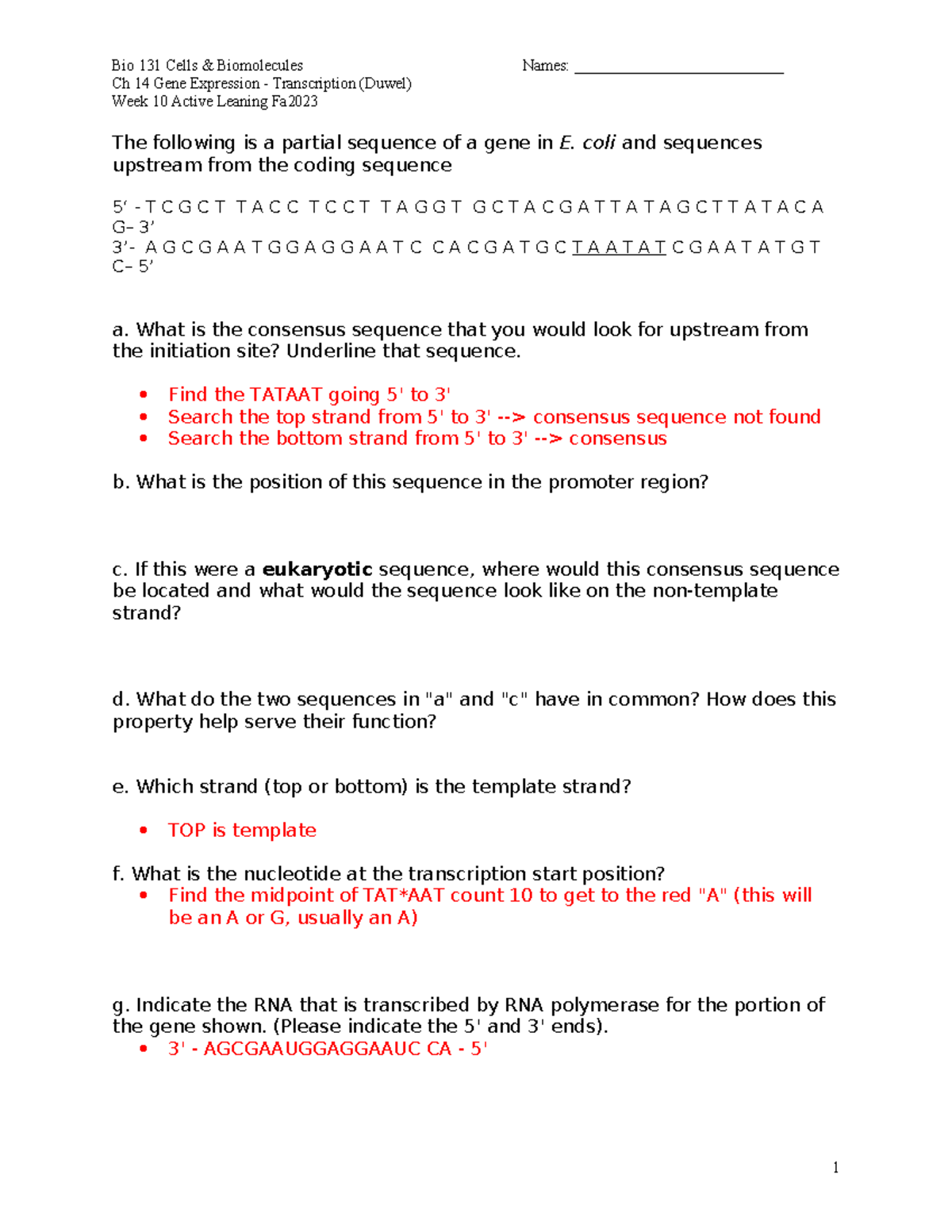 Bio 131 Lec Week 10 Transcription Activity Student Fa2023 - Bio 131 ...