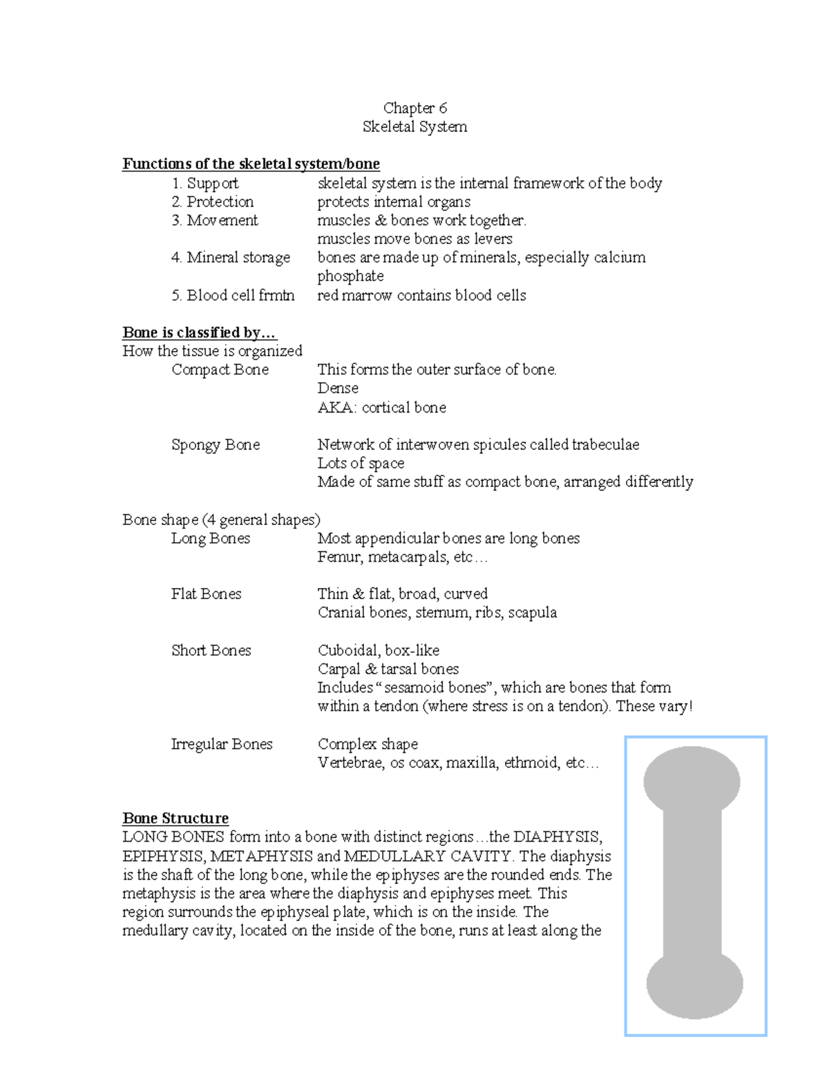 AP 6 Skeletal System - Chapter 6 Skeletal System Functions of the ...