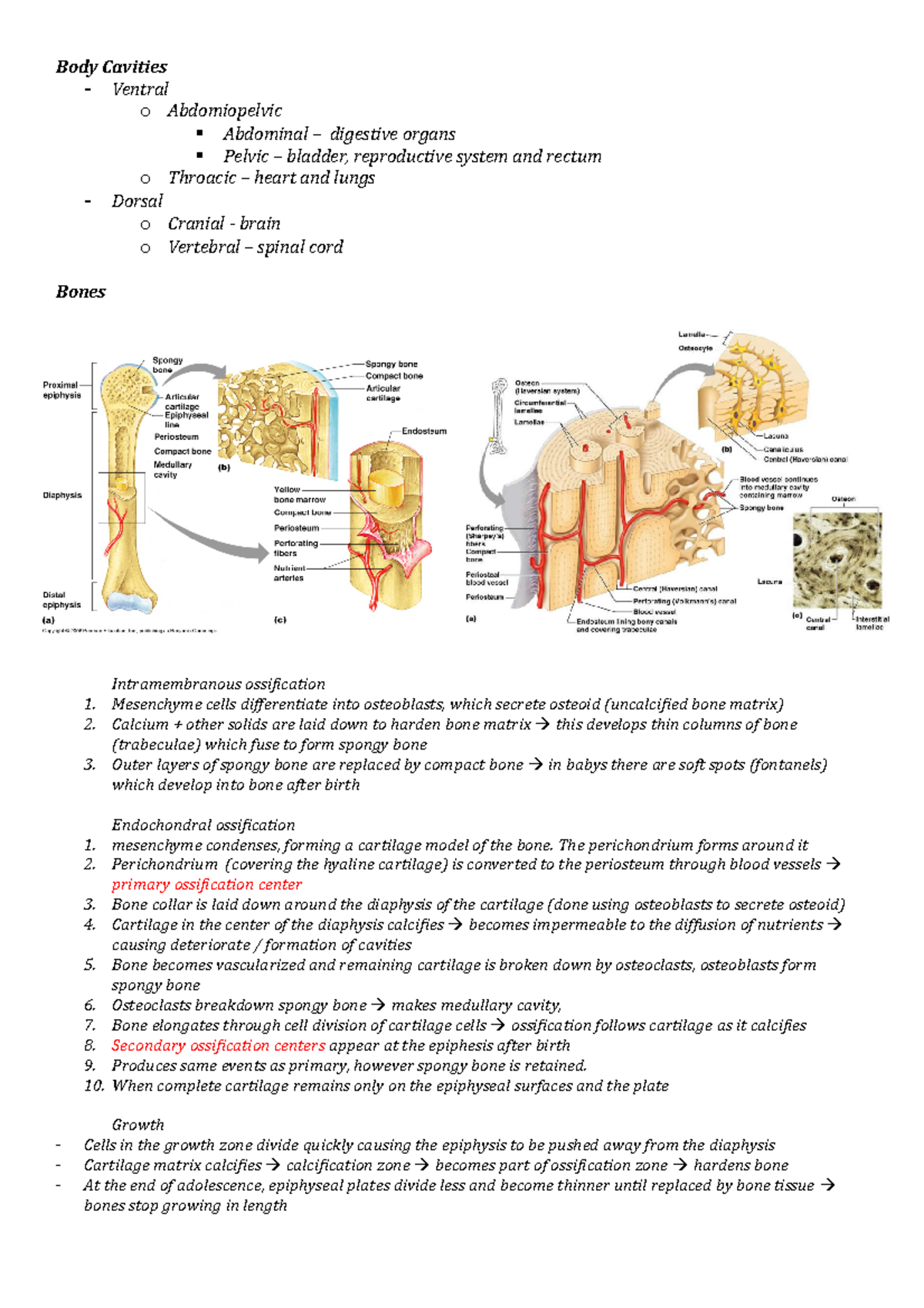 Mid-Sem-Notes - Summary of lecture notes for mid-sem exam. - Body ...
