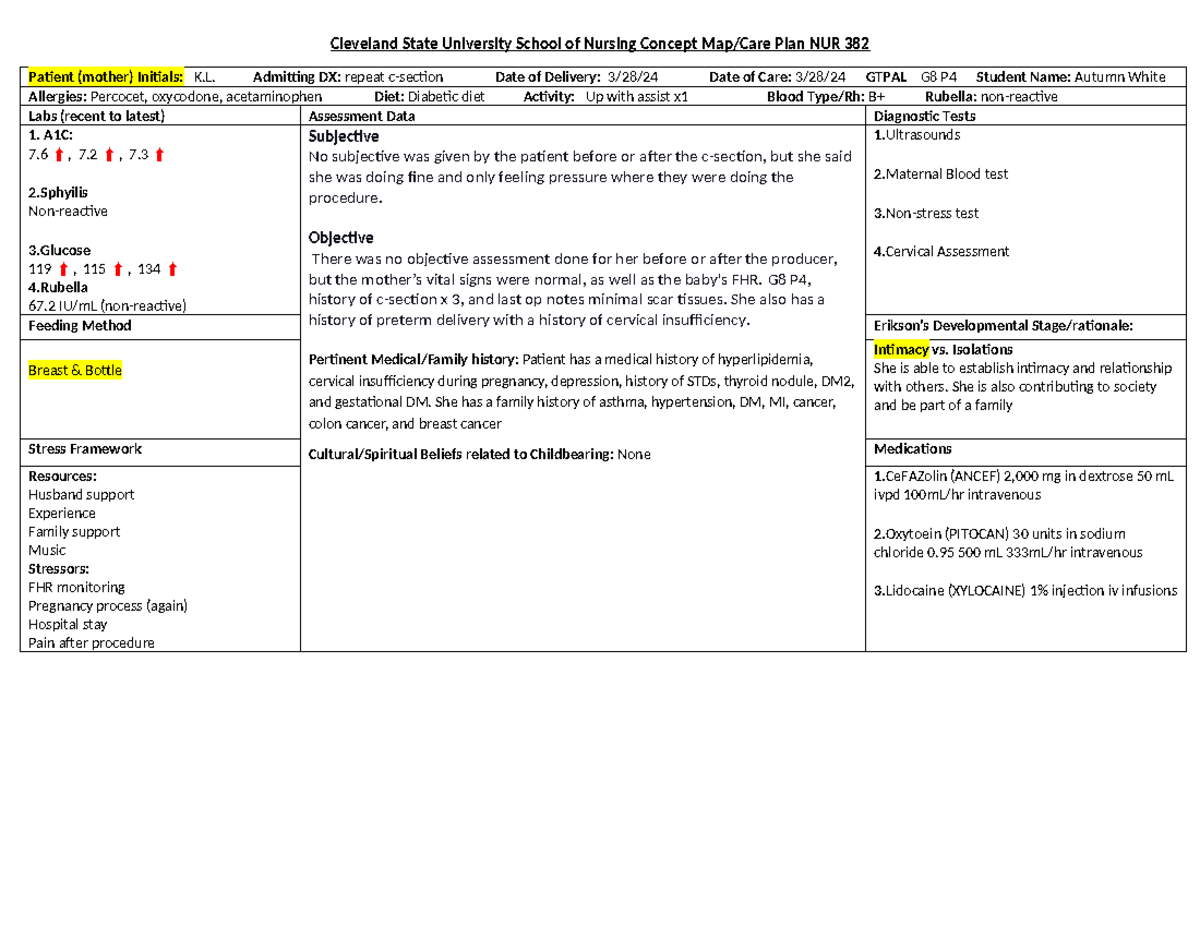 NUR 382 Concept Map - Care plan - Cleveland State University School of ...
