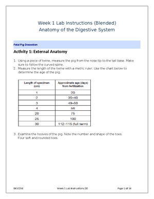 BIOS 255 Week 4 Lab - Onsite lab - BIOS 255 Week 4 Lab Instructions Activity Description Points ...