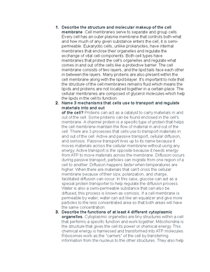 Chapter 4 Assignment - Identify the main tissue types found in the ...