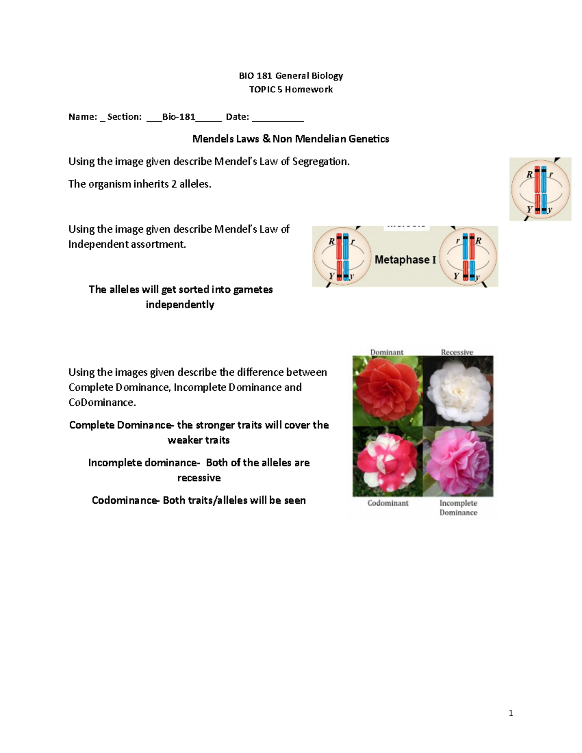 WEEK 10-HW- Chapter 14 - classwork - BIO 181 General Biology TOPIC 5 ...