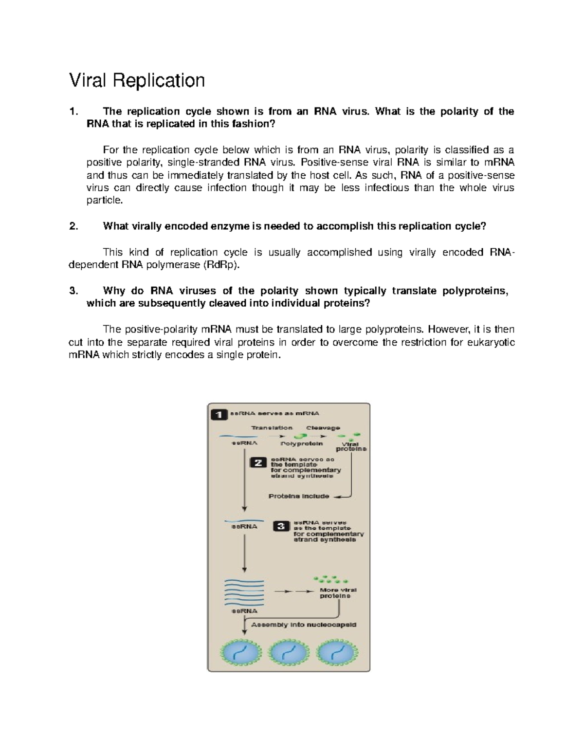 Virology - Viral Replication - Introduction To Biotechnology - TIP ...
