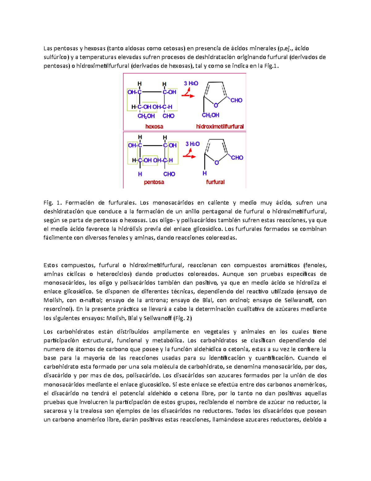 Las pentosas y hexosas - Entamoeba histolytica es una ameba parásita ...
