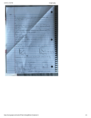 Module 5 Notes- Biochemistry and Intro to Proteins - Introduction ...
