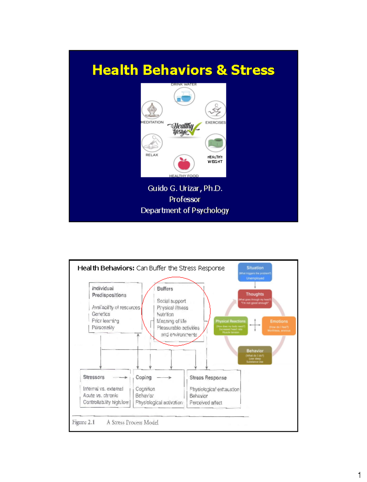 PSY 379 Health Behaviors & Stress 2020 - Health Behaviors & Stress ...