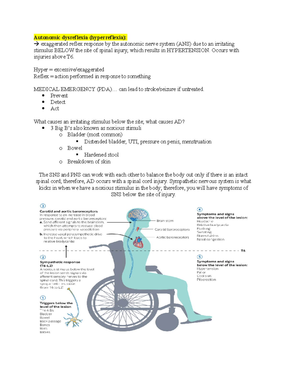 Autonomic Dysreflexia - Occurs with injuries above T6. Hyper ...