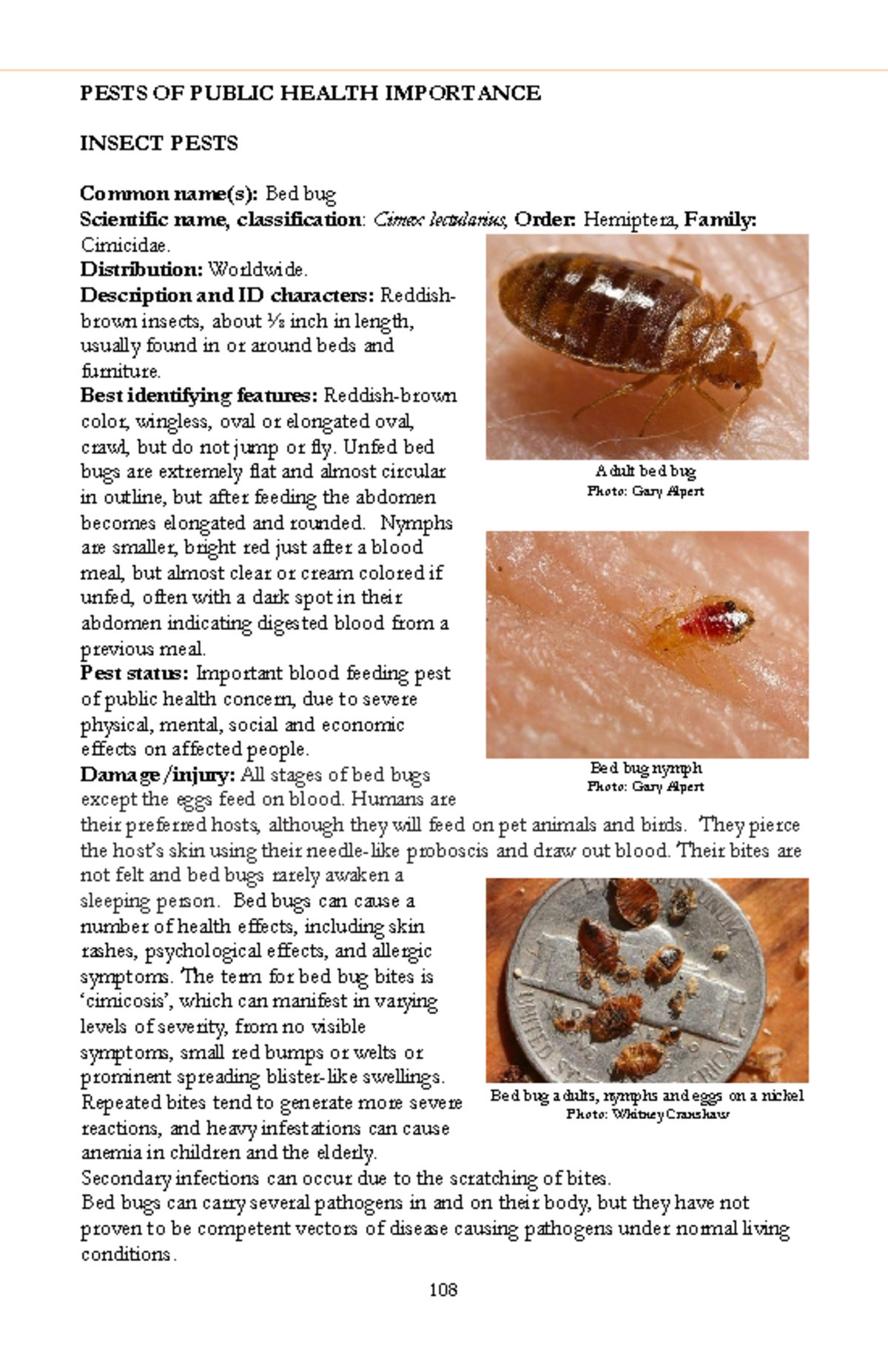 Mosquito and their larva identification - PESTS OF PUBLIC HEALTH ...