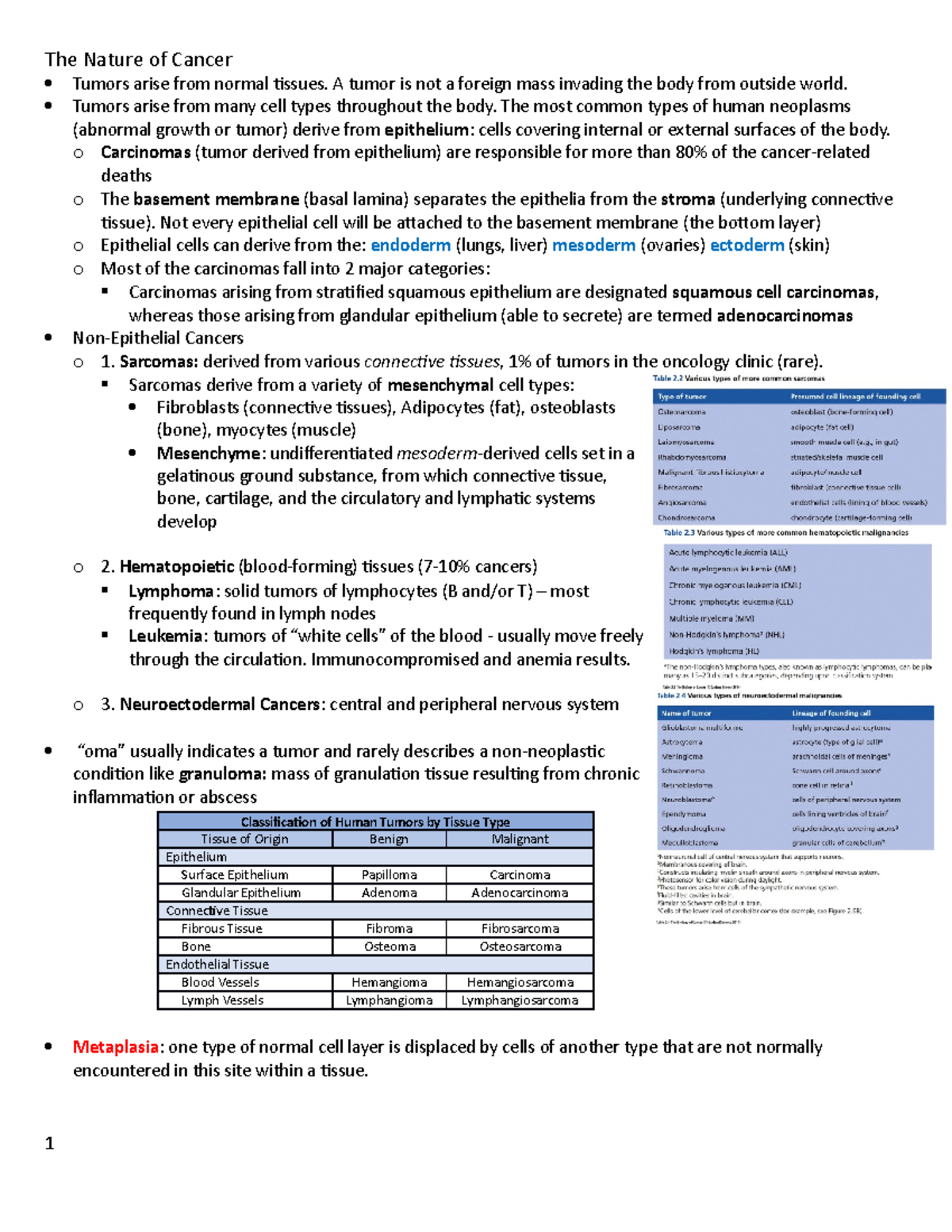 3. The Nature of Cancer - Lecture notes 3 - The Nature of Cancer Tumors ...