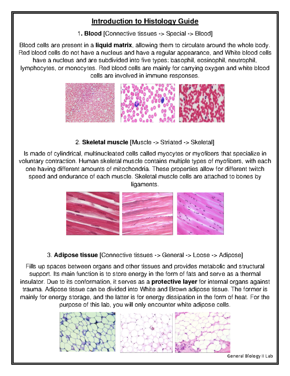 Intro to Histology Guide - Introduction to Histology Guide Blood ...