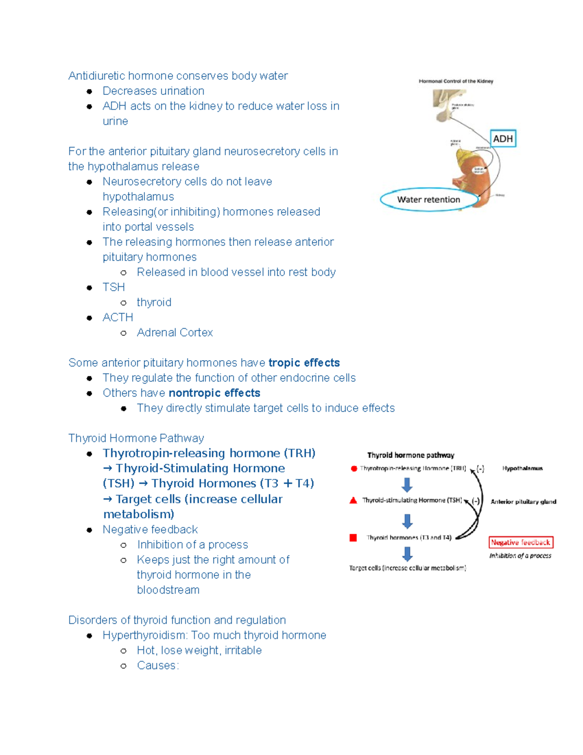 Bio101 Week 10 04 05 2019 Antidiuretic Hormone Conserves Body Water