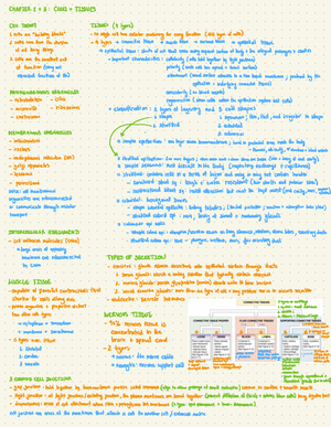 Axial Skeleton - Parts of body - Study Guide for the Axial Skeleton Lab ...