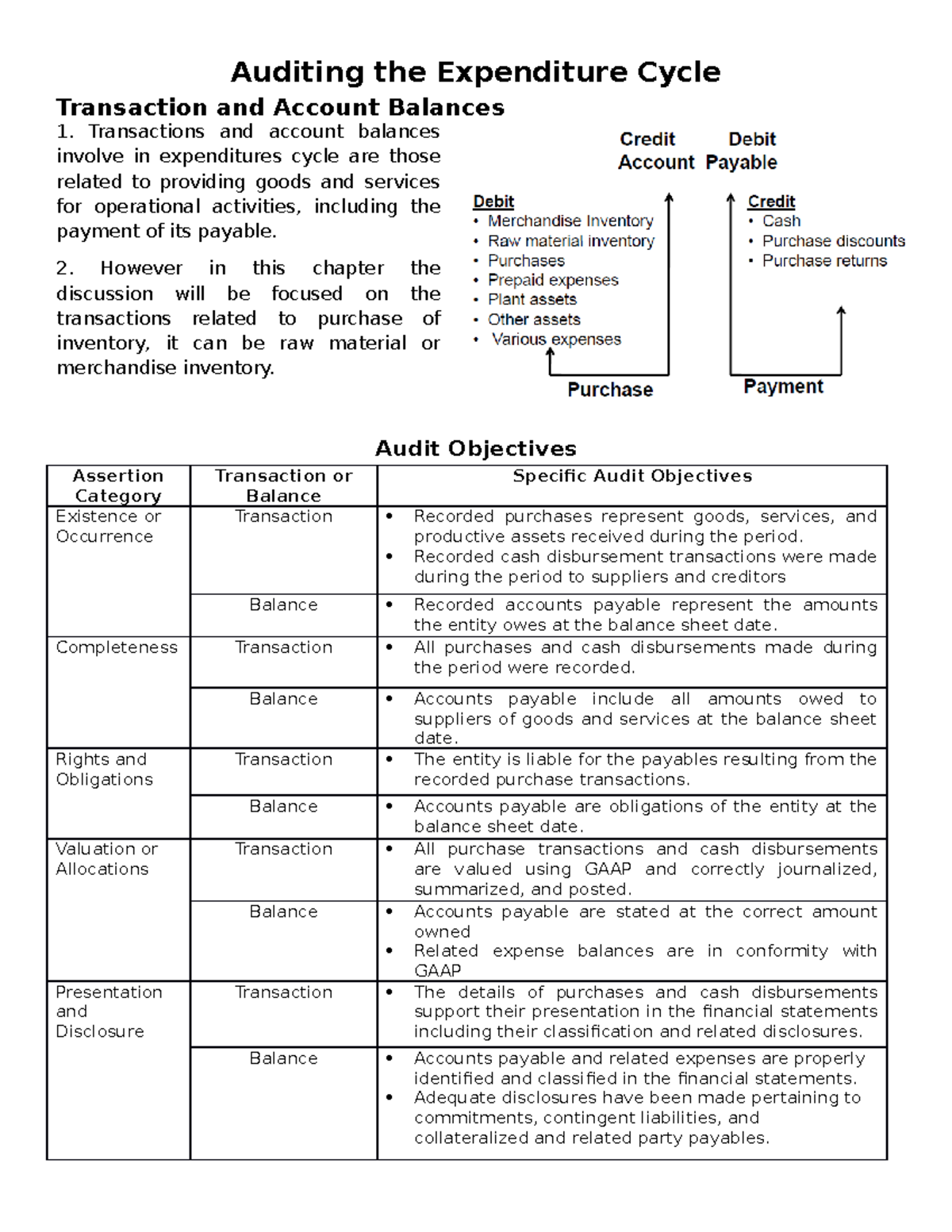Auditing the Expenditure Cycle - Auditing the Expenditure Cycle ...