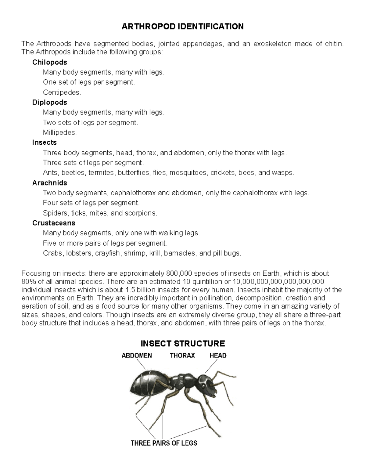 Arthropod Identification Word Doc Complete - ARTHROPOD IDENTIFICATION ...