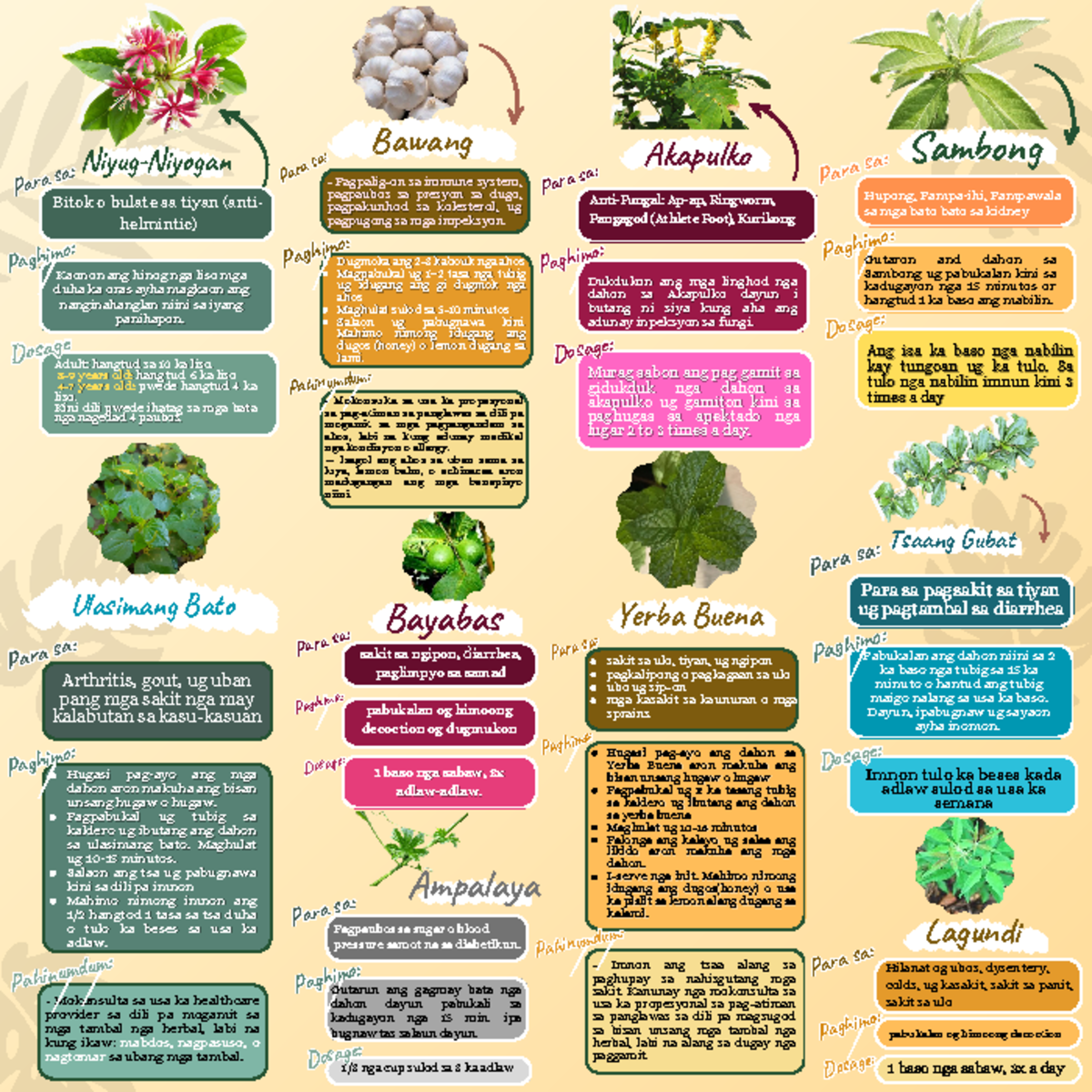 Herbal Plants - Paghimo : Paghimo: Para s a: Para sa: Niyug-Niyogan ...