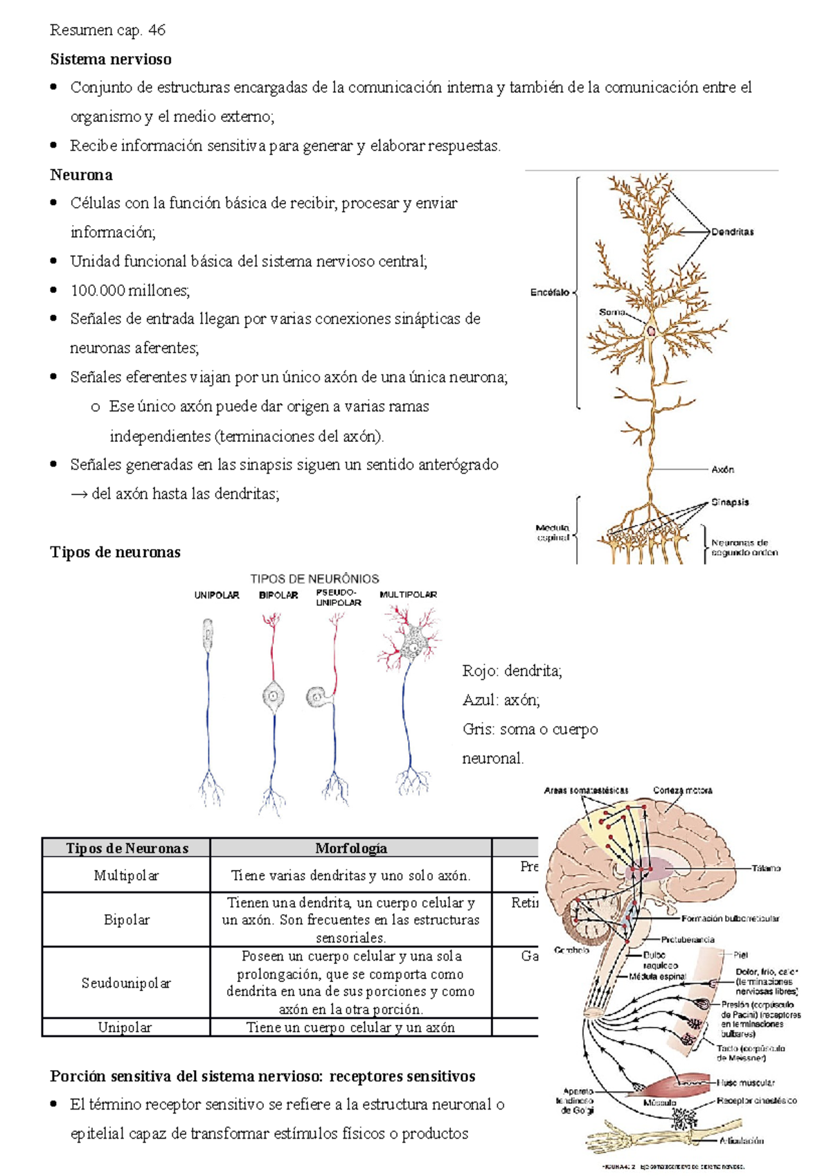 Fisio resumen 2 - cap 46 - Resumen cap. 46 Sistema nervioso Conjunto de estructuras encargadas ...
