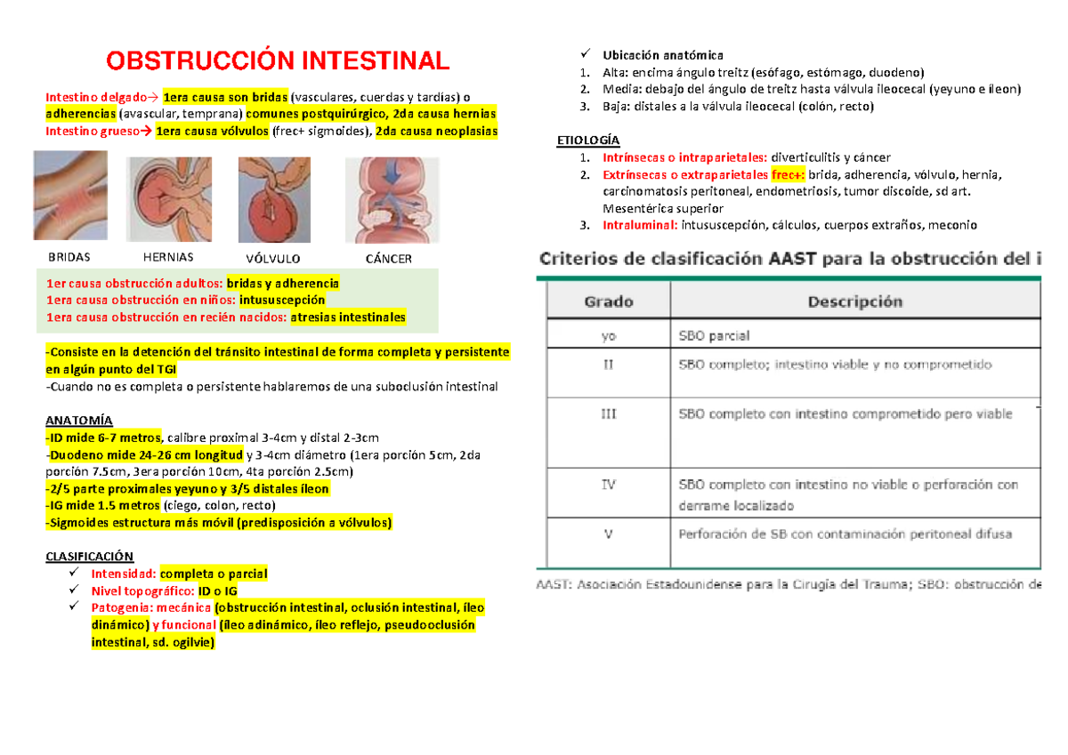 Obstrucción Intestinal - OBSTRUCCIÓN INTESTINAL Intestino delgado→ 1era ...