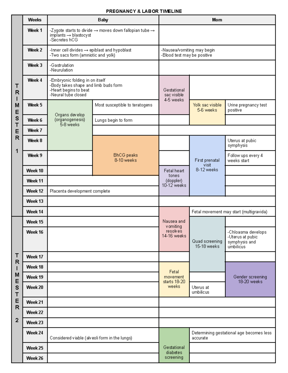 Pregnancy Labor Timeline Chart - PREGNANCY & LABOR TIMELINE T R I M E S ...