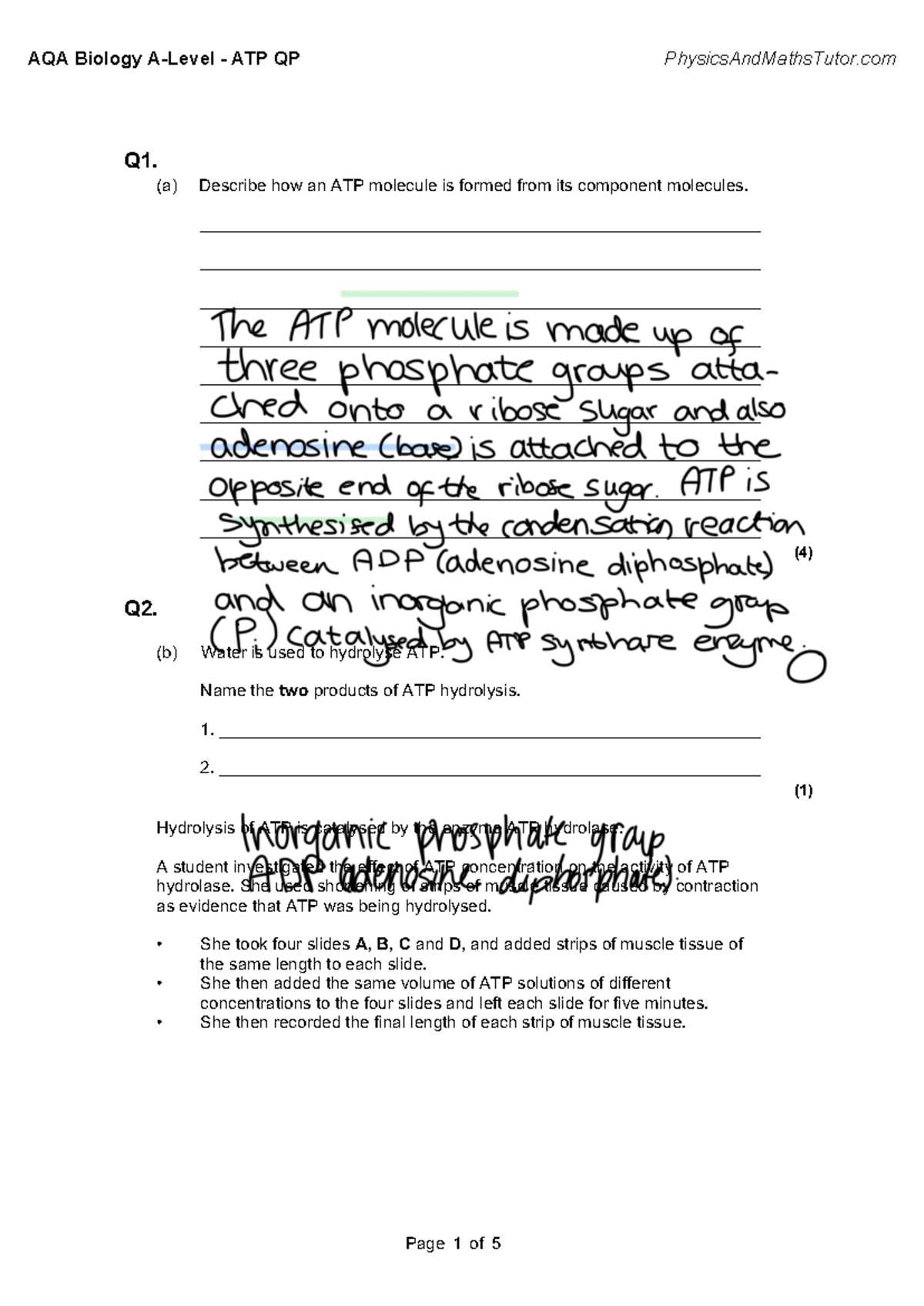 1.6 ATP QP - Super useful resource to use. - Q1. (a) Describe how an ...