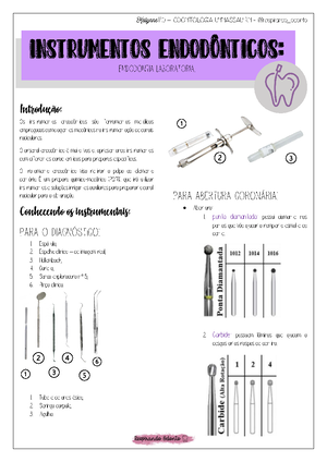 Endodontia Passo A Passo E Materiais - ENDODONTIA – PASSO A PASSO e ...