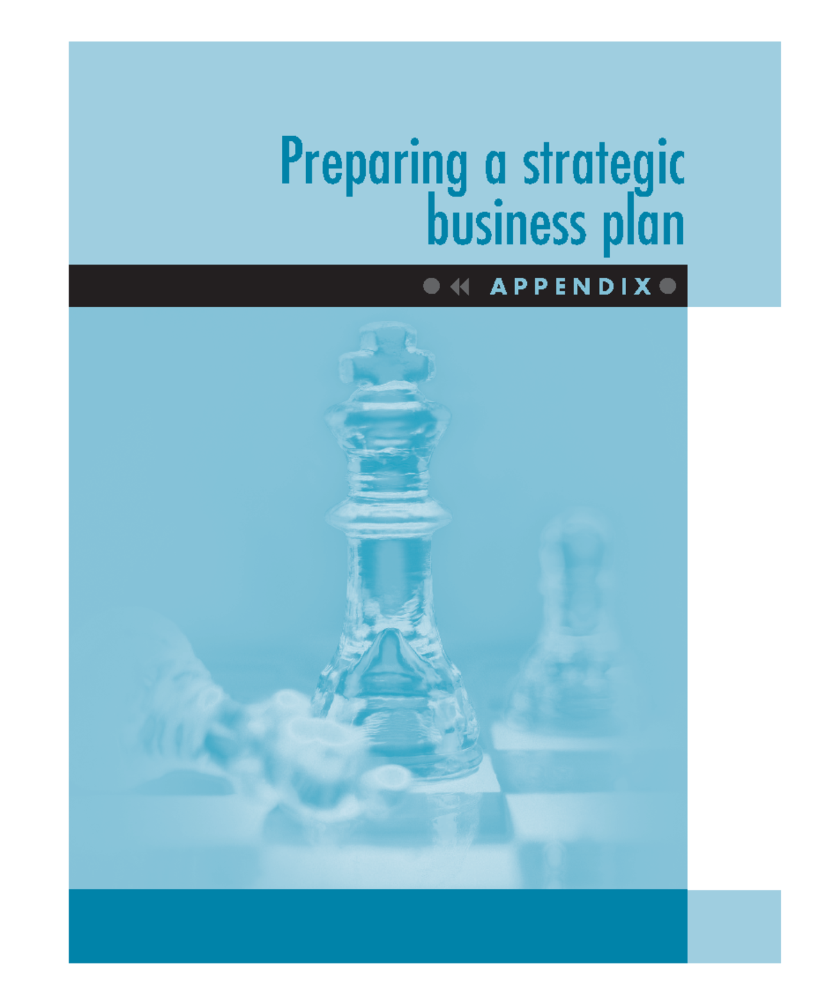 Hubbard SM Business Plan Appendix 3e - APPENDIX Preparing a strategic ...