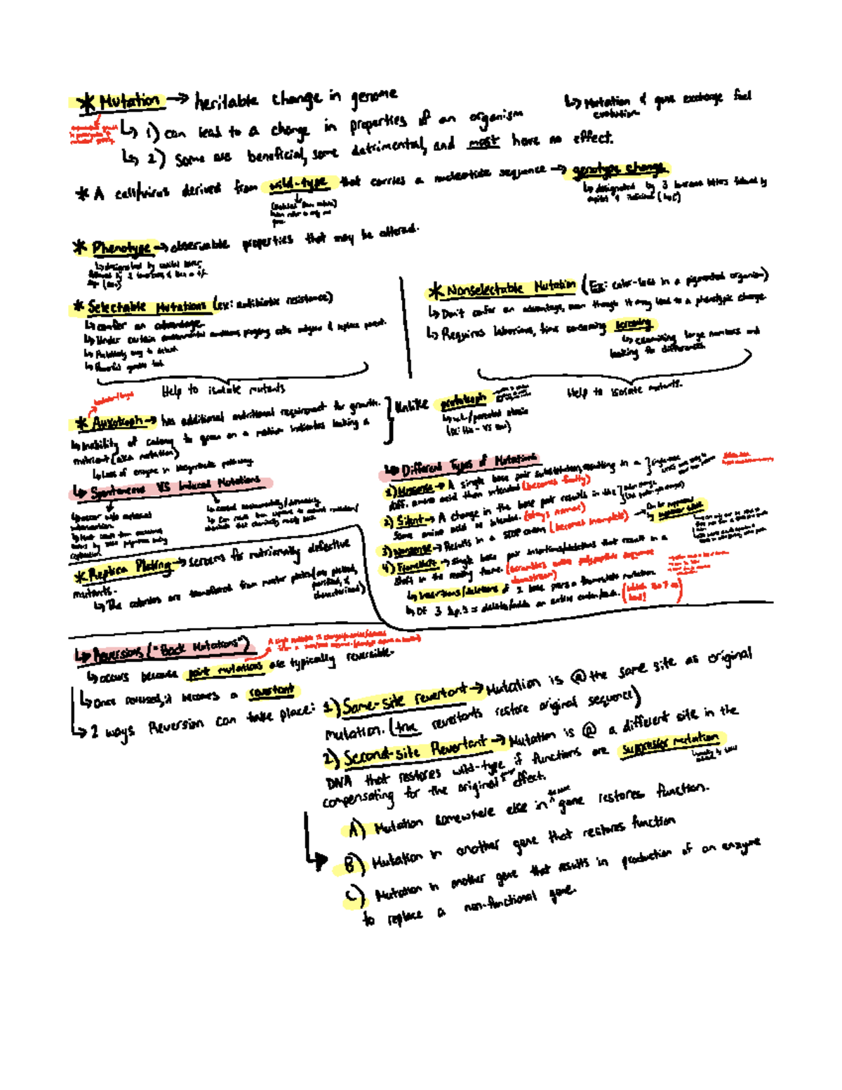 Microbiology study guide #3 - HMutation heritablechange in genome ...