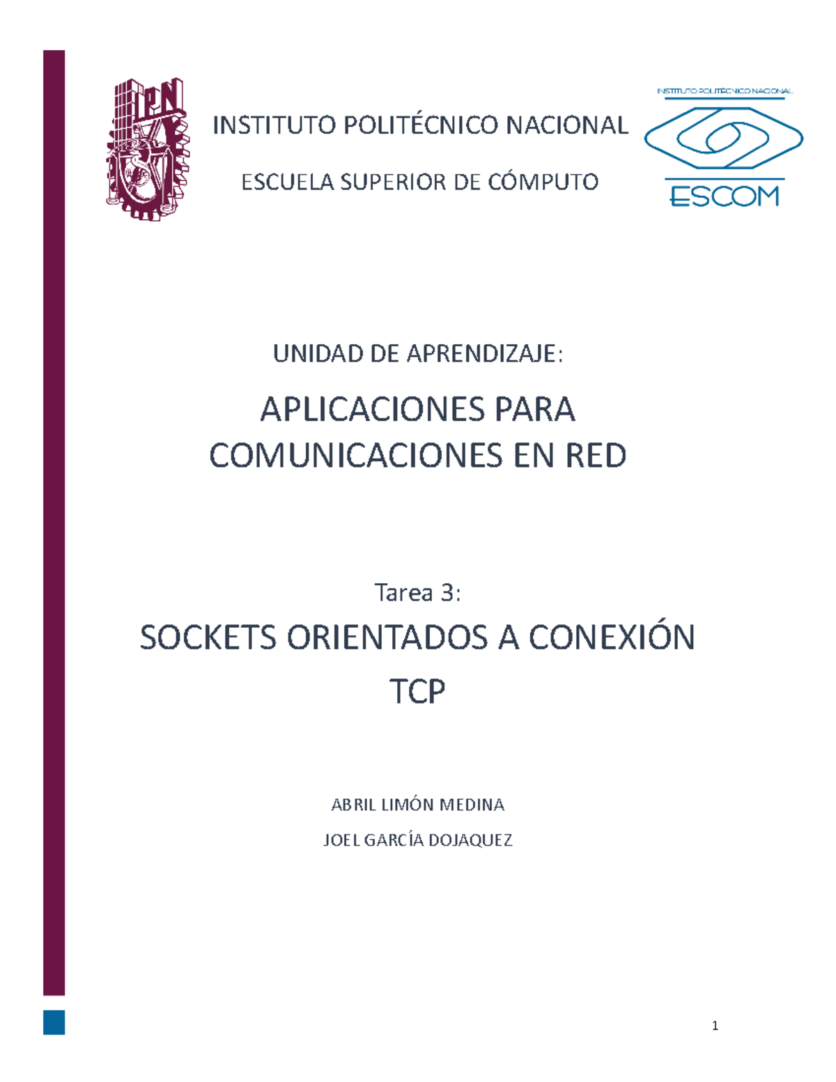 Sockets orientados a conexiones TCP. Redes - INSTITUTO POLITÉCNICO ...