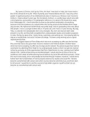 Reflective Essay - The Danger of a Single Story Prewriting - English 15 ...