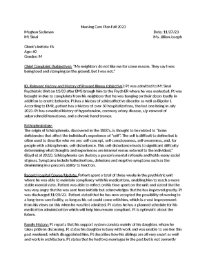 NURS 406 Psychiatric Nursing Care Plan - DEPARTMENT OF UNDERGRADUATE ...