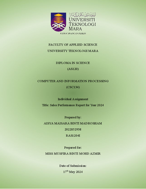 INDIVIDUAL ASSIGNMENT - CSC Sales Performance Report for Year 2024 NAME ...