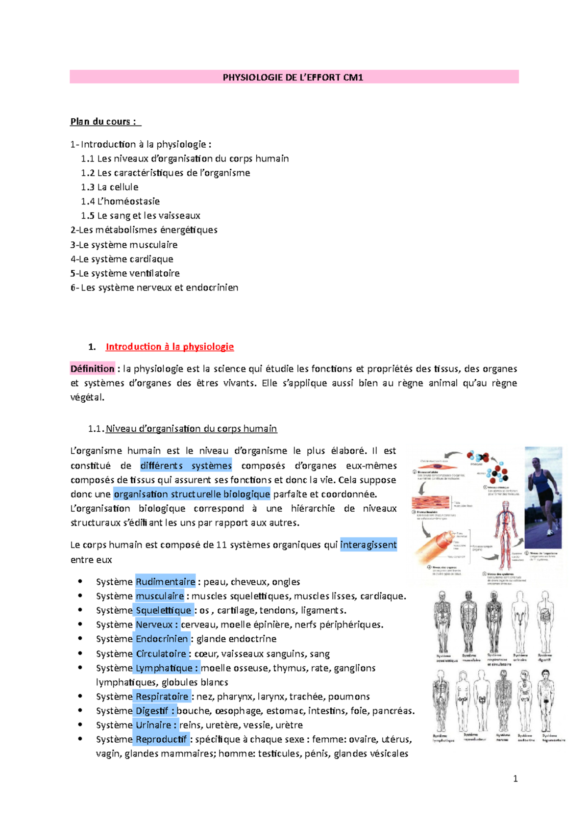CM1 intro à la physiologie de l'effort - PHYSIOLOGIE DE L’EFFORT CM Plan du cours : 1 ...