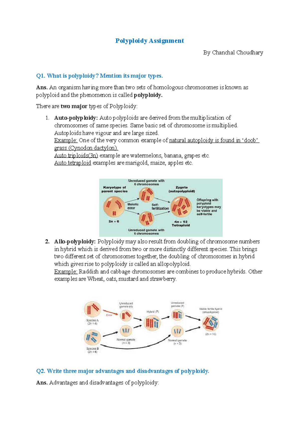 Polyploidy Notes - Polyploidy Assignment By Chanchal Choudhary Q1. What ...