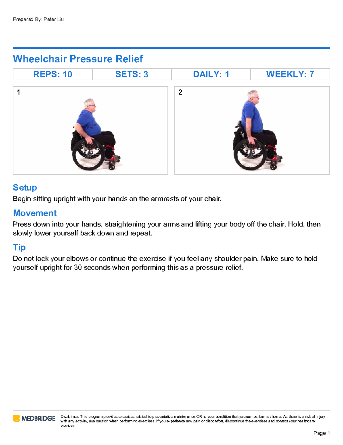 Home-exercise-program 1 - Wheelchair Pressure Relief REPS: 10 SETS: 3 ...