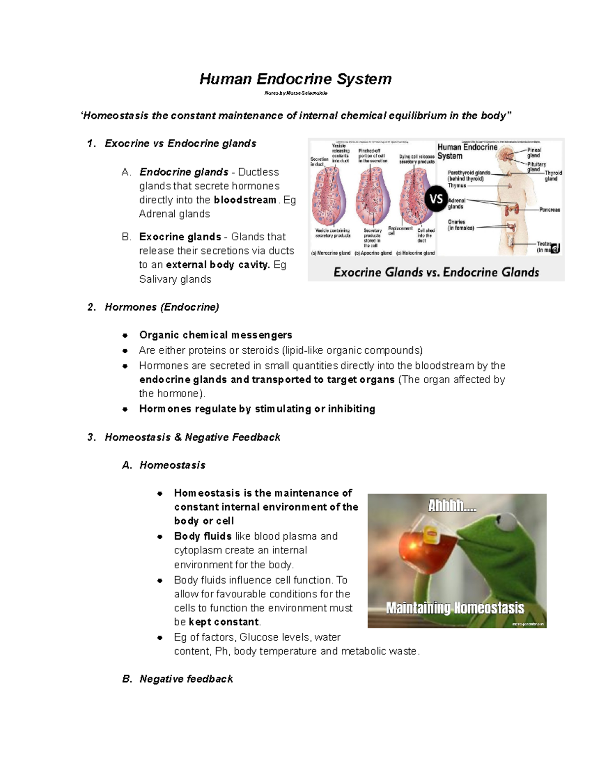 Human Endocrine System - Human Endocrine System Notes by Motse ...