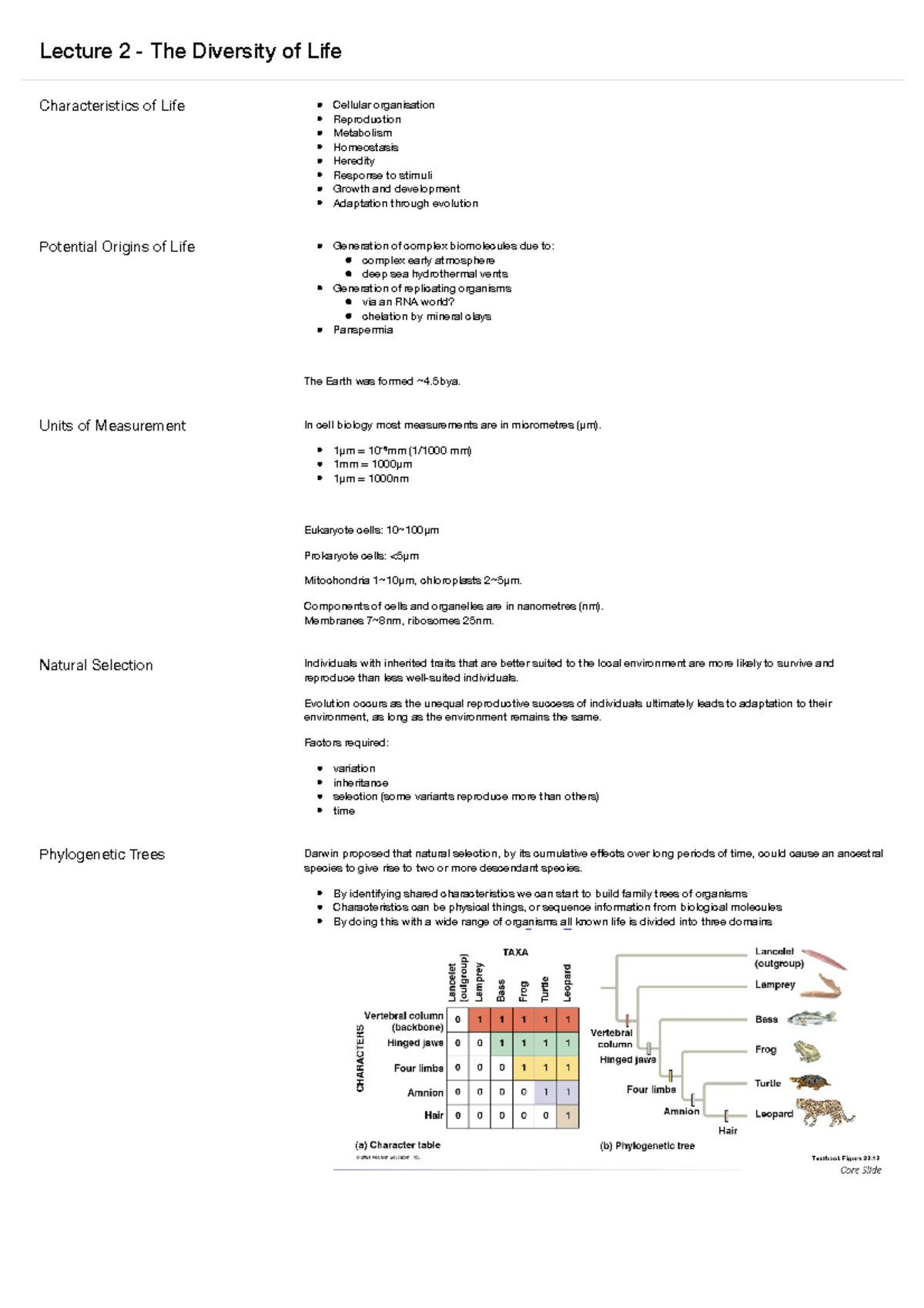 Lecture 2 - The Diversity of Life - Units of Measurement 1μm = 10⁻³mm ...