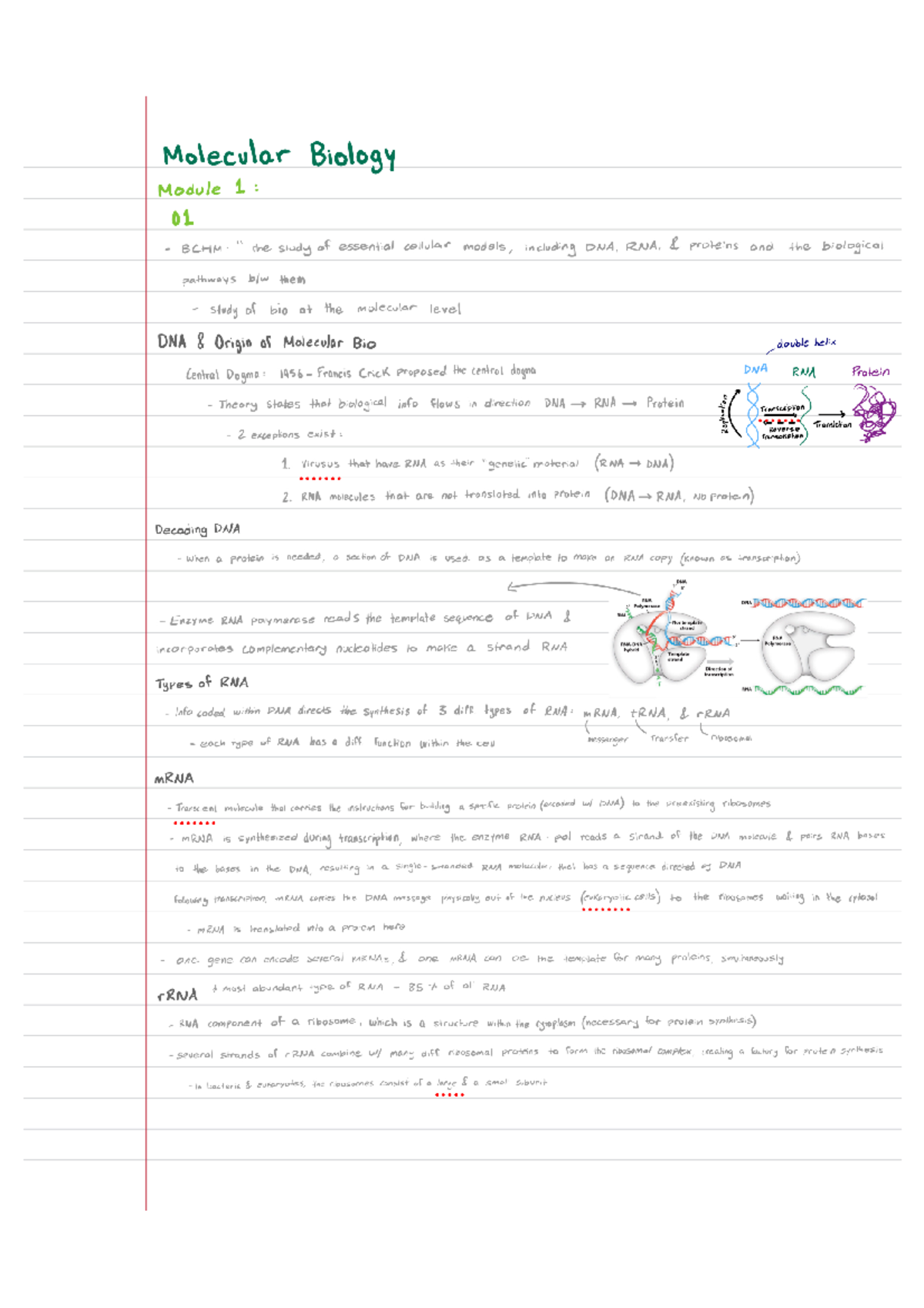 BCHM 218 Notes - Molecular Biology Module 1: 01 BCHM: The study of ...