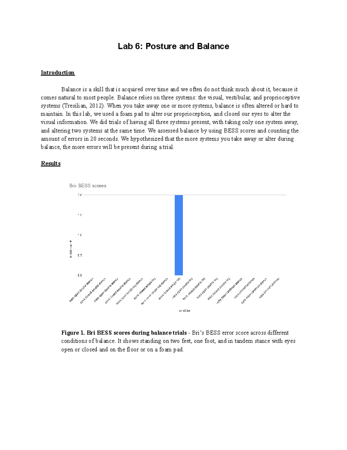 Lab 6 balance and posture - Lab 6: Posture and Balance Introduction ...