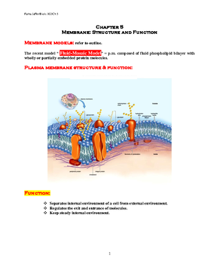 Chapter 4 outline - slides - Chapter 4 Cell Structure and Function Cellular Level of ...