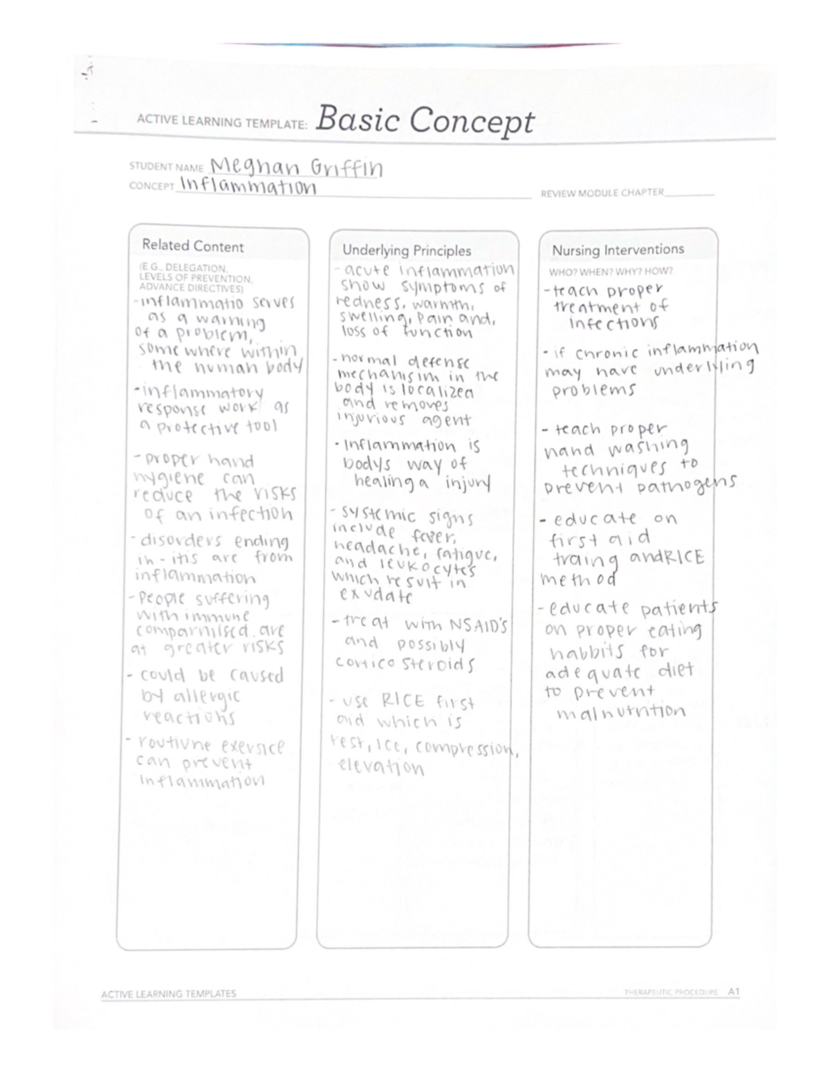 Active Learning Template Basic - NR-283 - Studocu