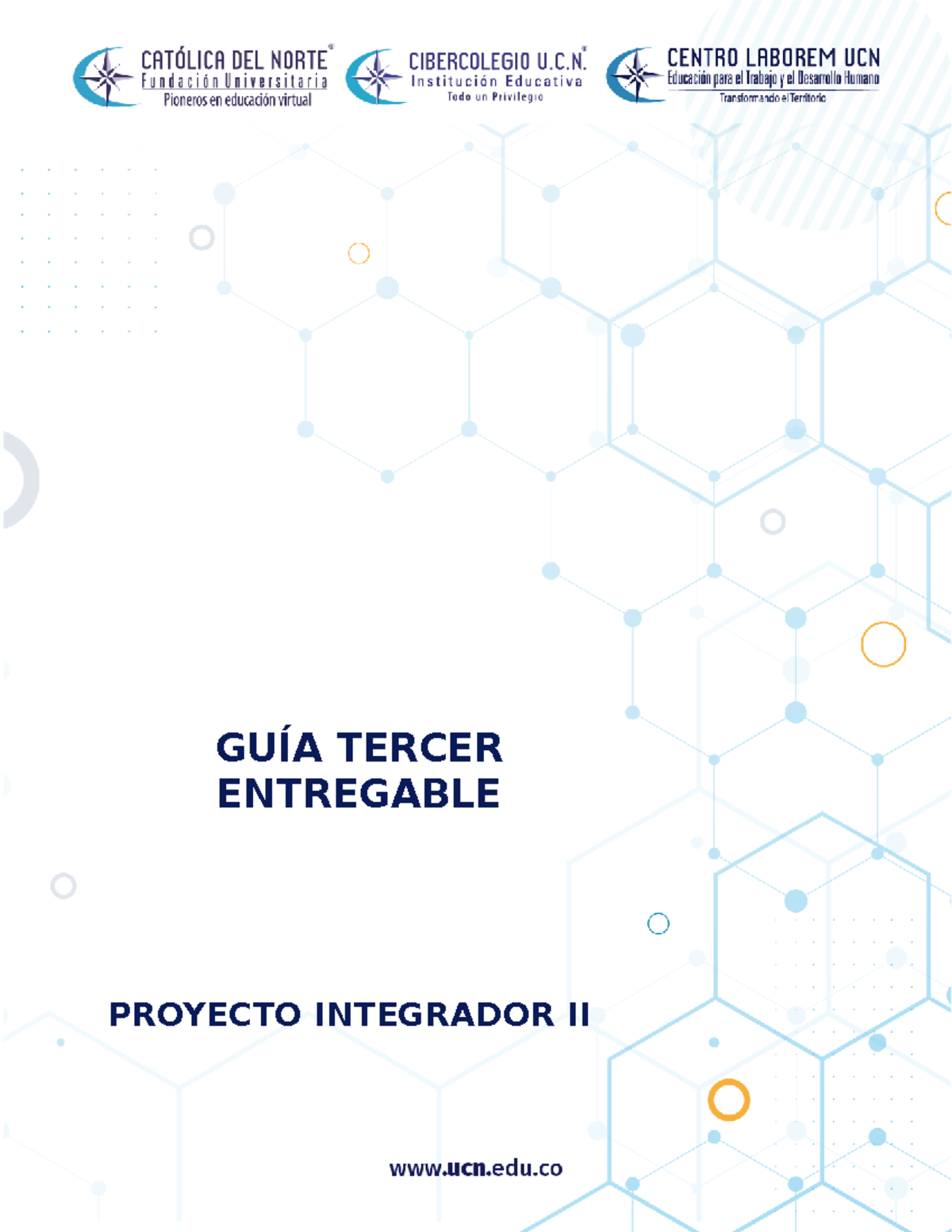 Guía Análisis de los Resultados y realización del diagnóstico inicial - PROYECTO INTEGRADOR II ...