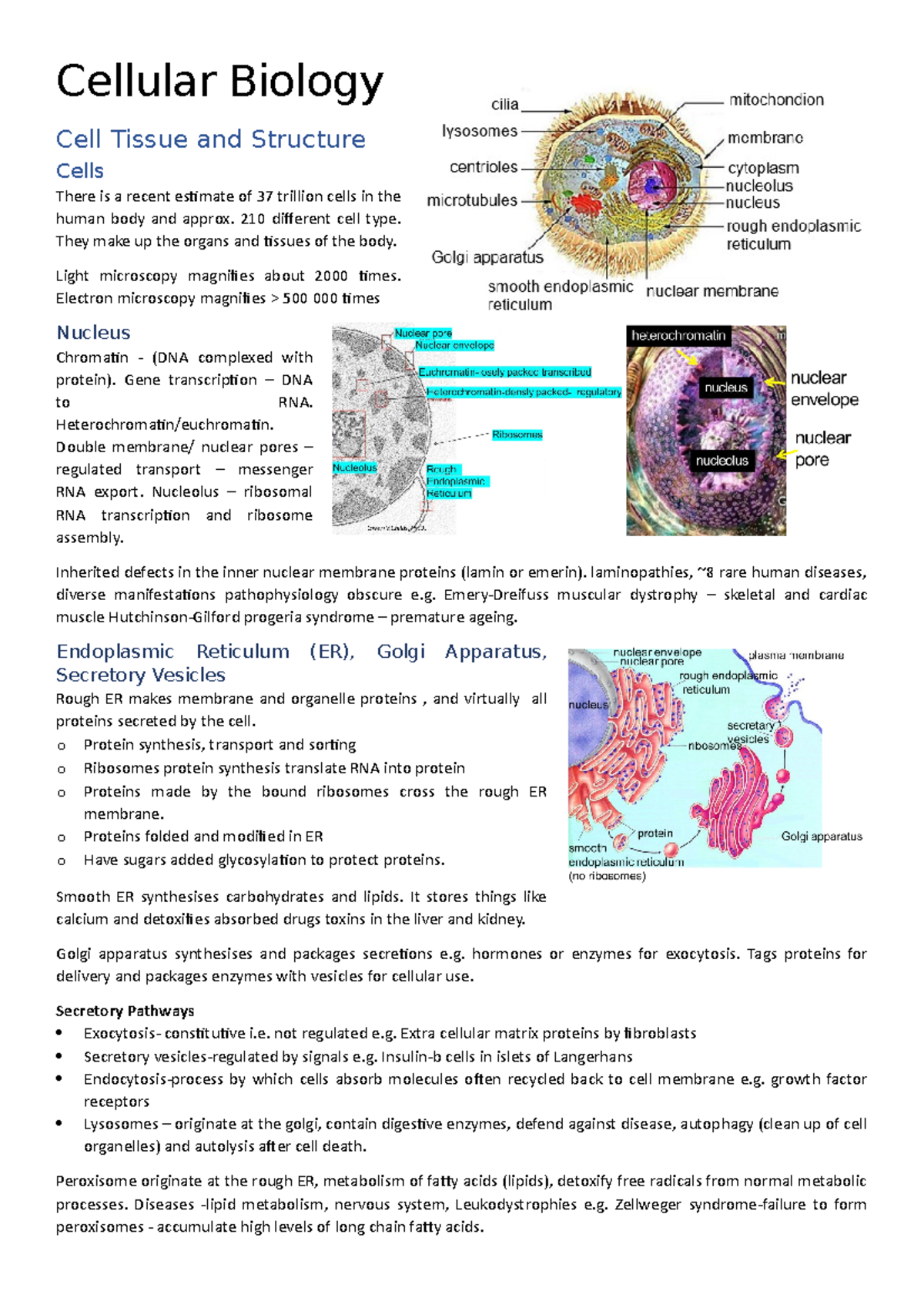 Cellular Biology Revision Booklet 👁 - Cellular Biology Cell Tissue and ...