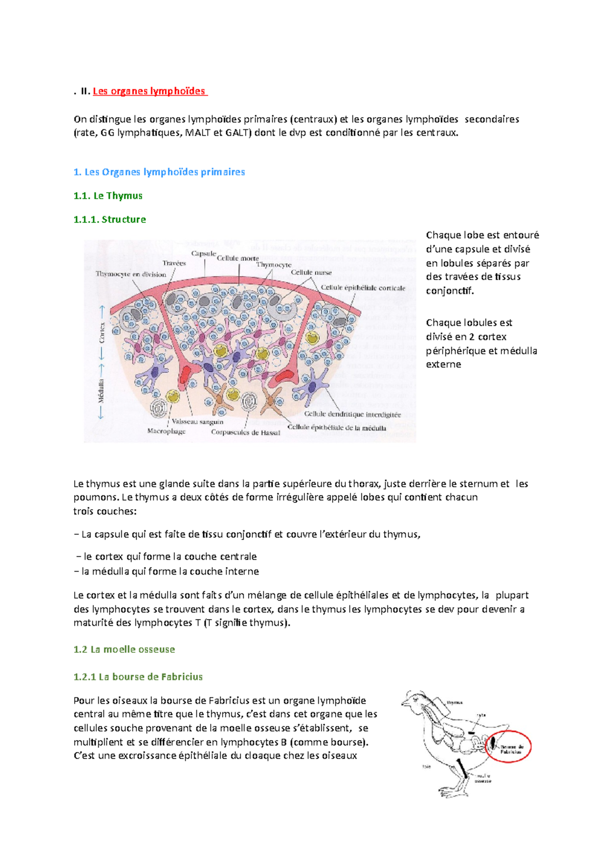 Cours 4 de amar bennasroune Immuno 401 - . II. Les organes lymphoïdes ...