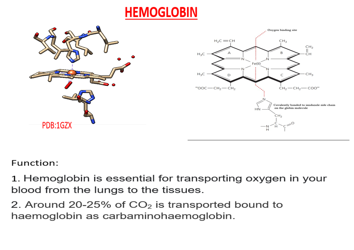 TERM Paper 211459 SPR - HEMOGLOBIN , Oxygen binding site CH, CH, Pie ...