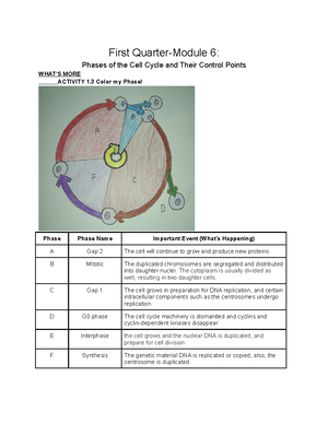 General Biology Cell Modifications - First Quarter-Module 5: Cell ...