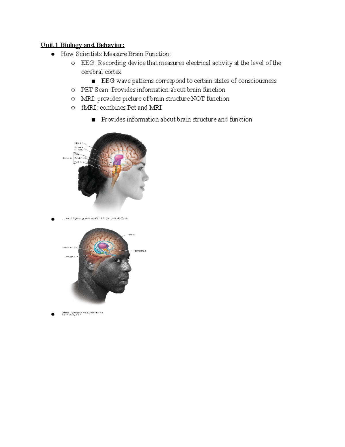 Psych 101 Notes - Unit 1 Biology and Behavior: How Scientists Measure ...