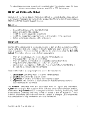 BIO 101 Lab 06, Enzymes - upload their completed document as a DOC or ...