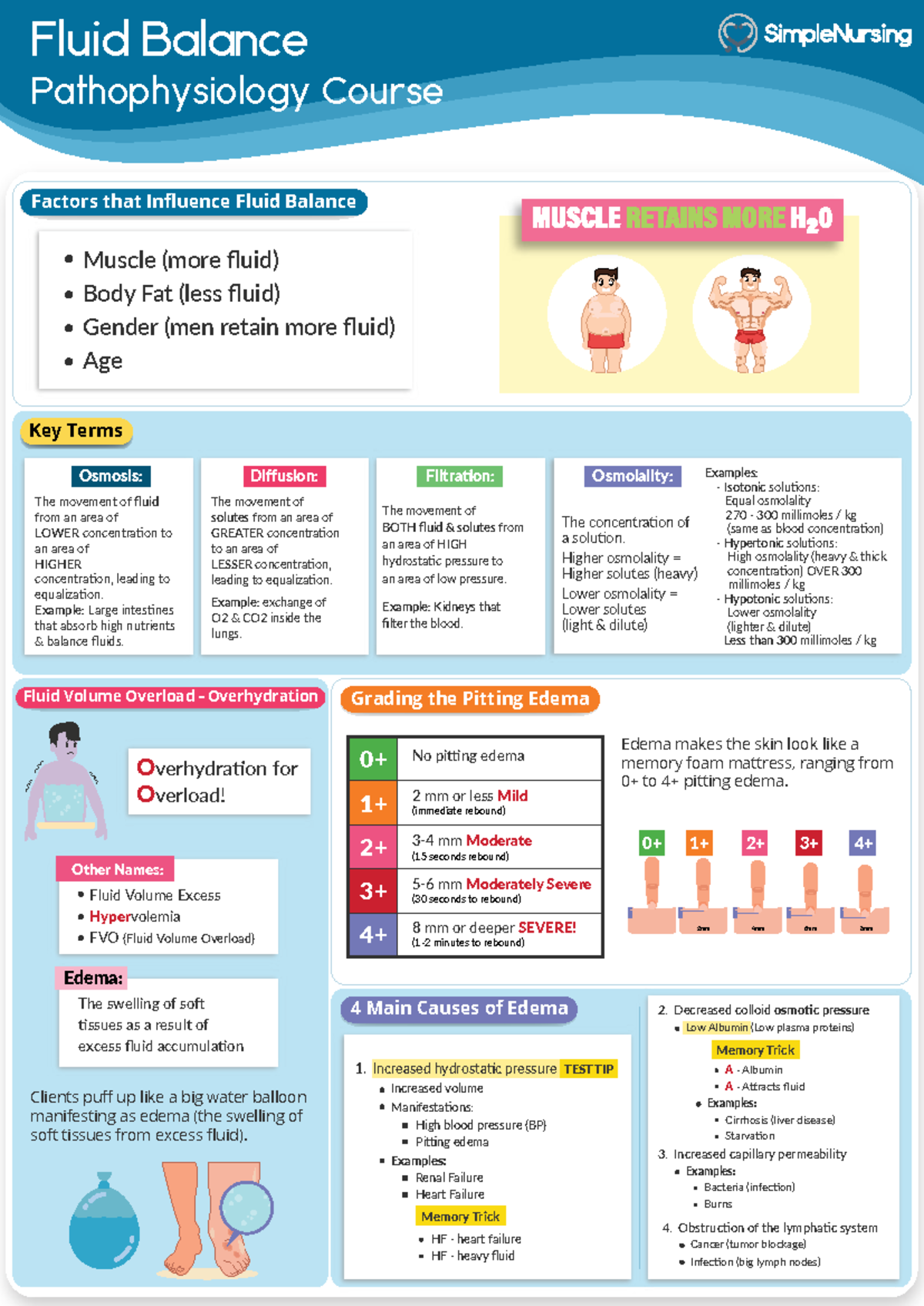 Simple Nursing lab values /Patho - Fluid Balance Pathophysiology Course ...