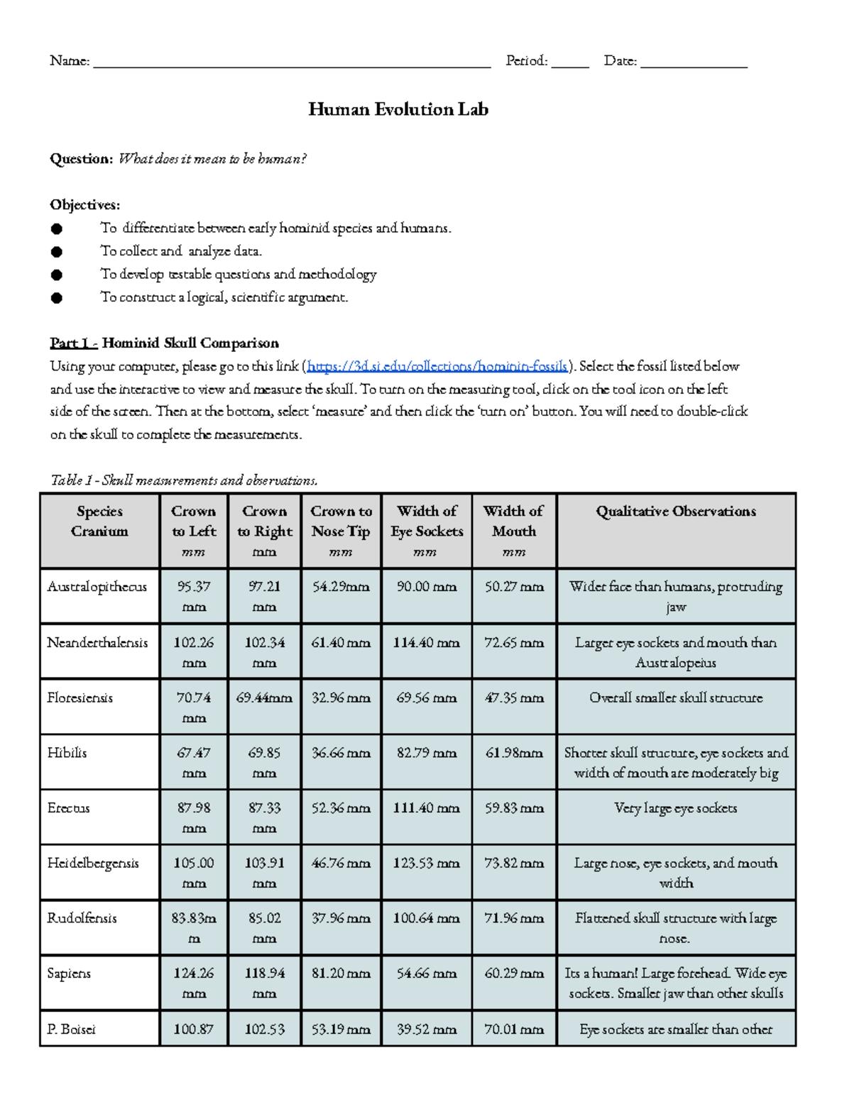 Copy of Human Evolution Lab - Name ...
