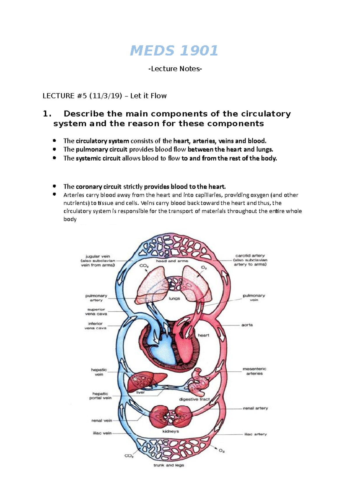 Lecture 5: Let it Flow - MEDS 1901 -Lecture Notes- LECTURE #5 (11/3/19 ...